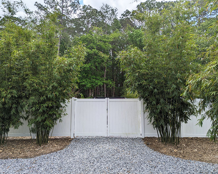 Privacy Landscaping of Florida - Photo Gallery